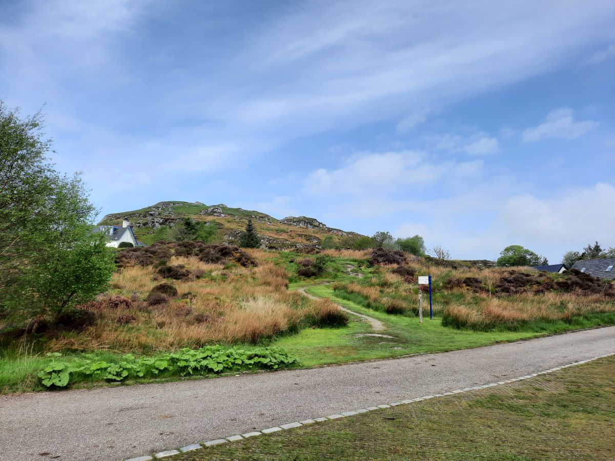 Dal Riada (the Scots) – The Northern Tapestry